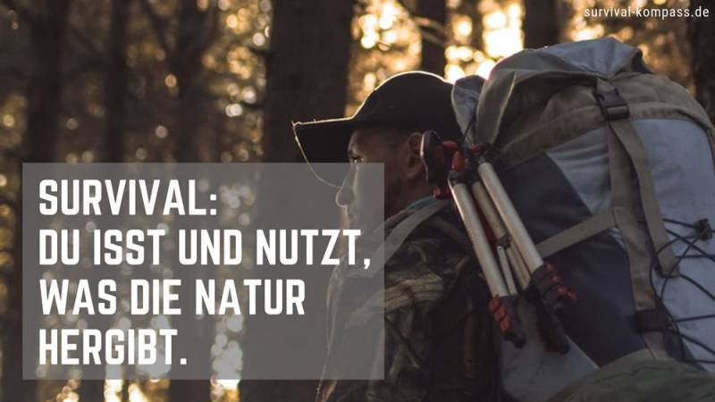 Was bedeutet Survival? [Grundausrüstung und Fähigkeiten]